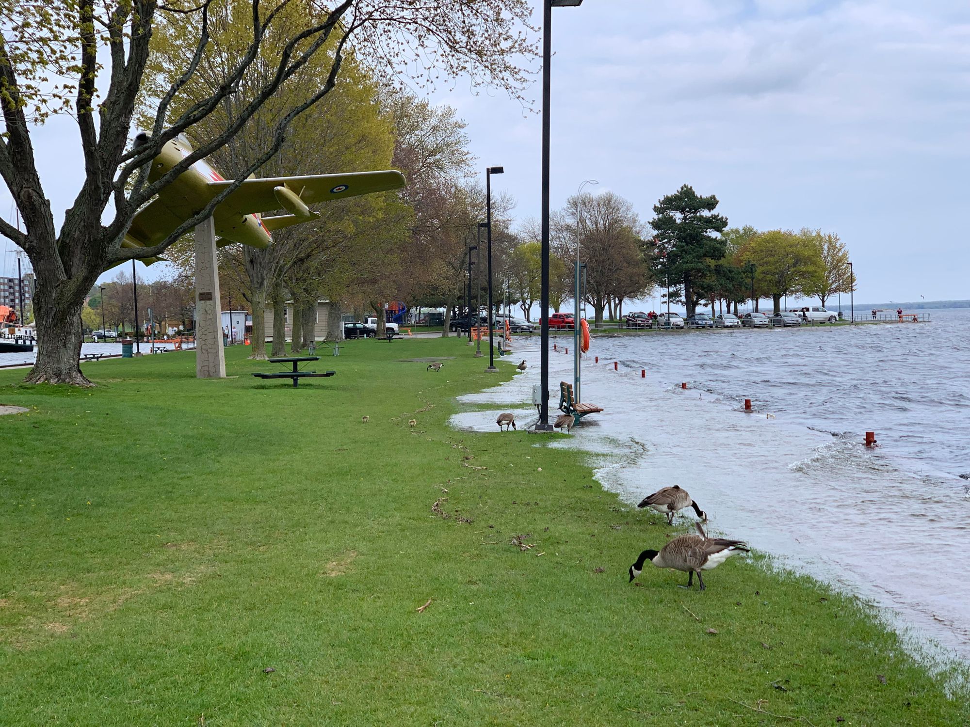 Thousand Islands Magazine, Volume 14, Issue 6, June 2019