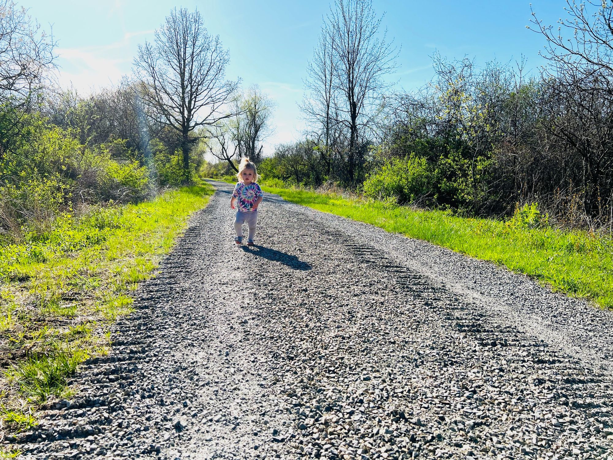 Thousand Islands Life, Meet S. Gerald Ingerson and his Woods
