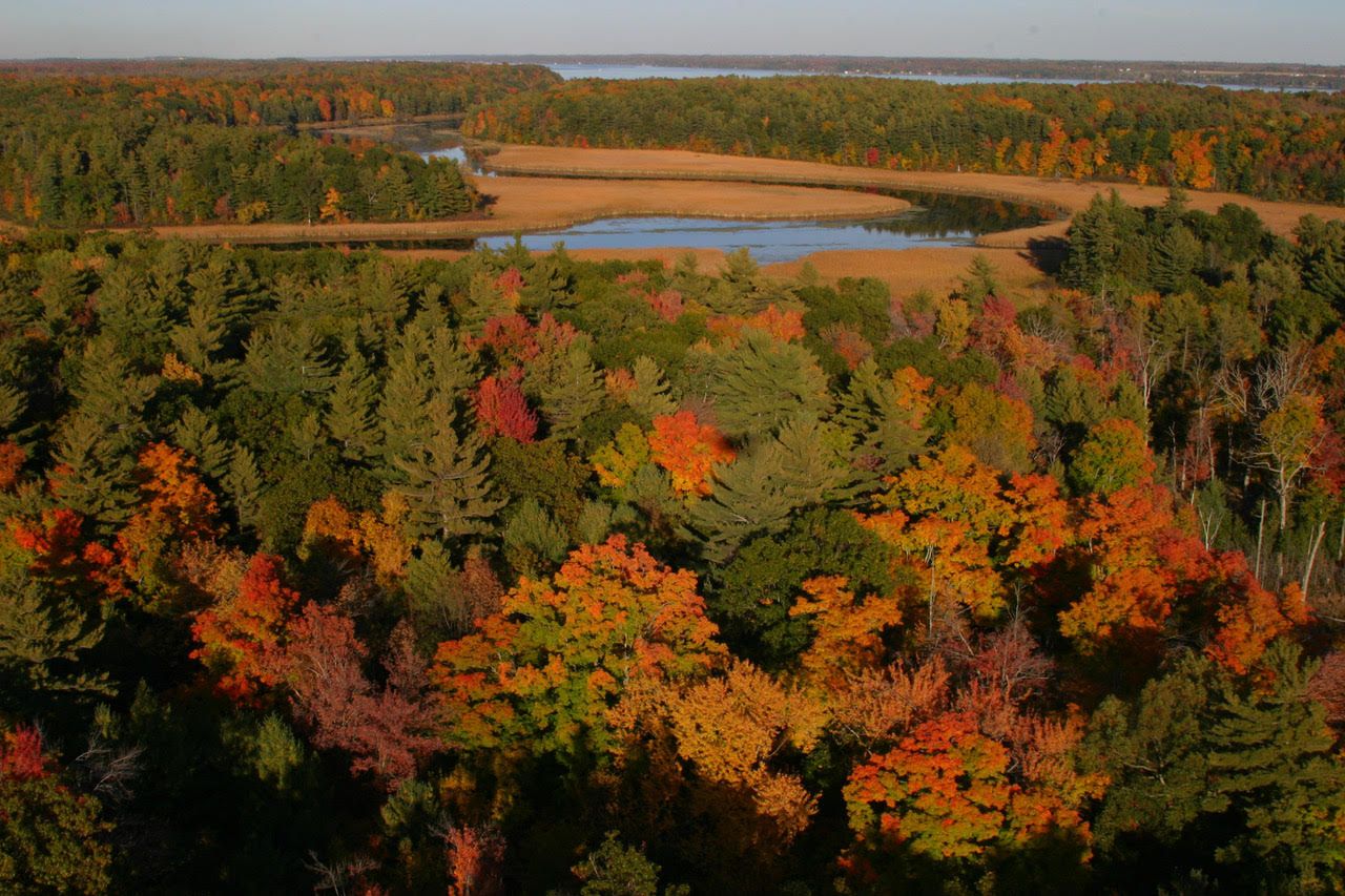 Volume 17, Issue 10, October 2022 - Thousand Islands Life Magazine