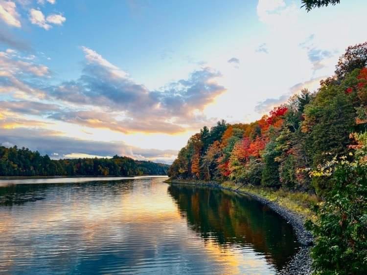 Thousand Islands Life, Locally Beautiful, Forever Connected - Indian ...