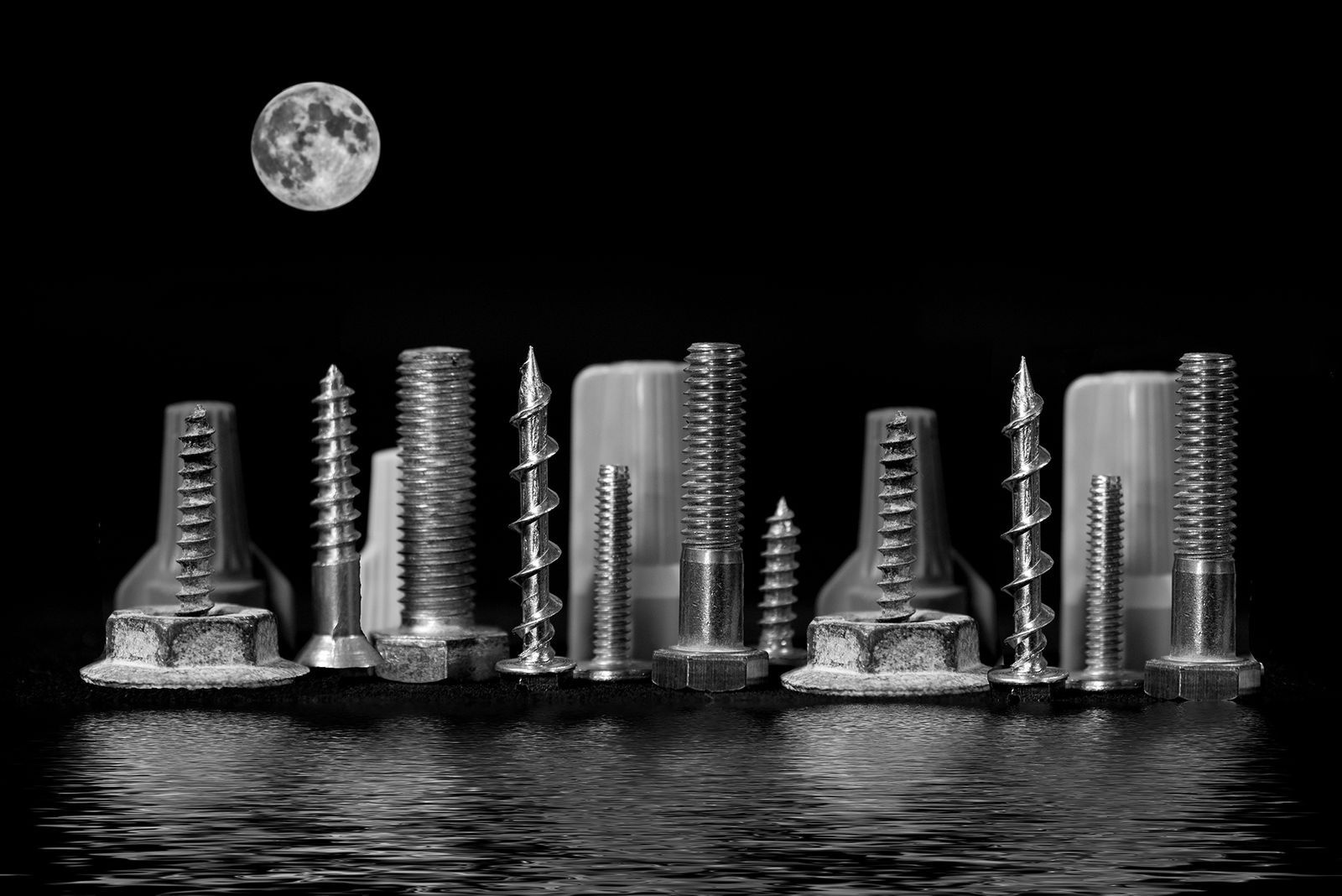 Thousand Islands Life, Meet Alan Goldstein, Photographer