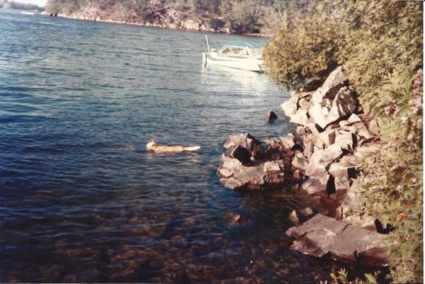 Thousand Islands Life, GATITO: A Tale of a Real River Rat Cat