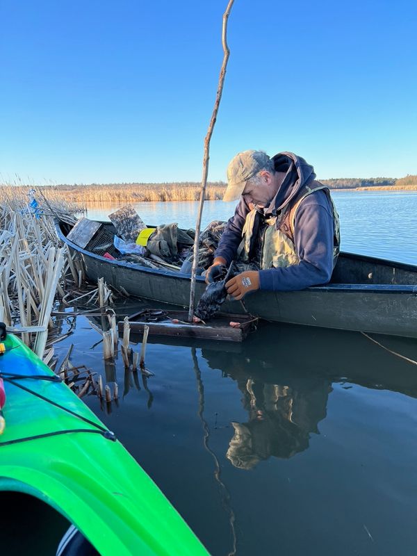 thousand Islands Life, Trapping Beavers, Photo Essay