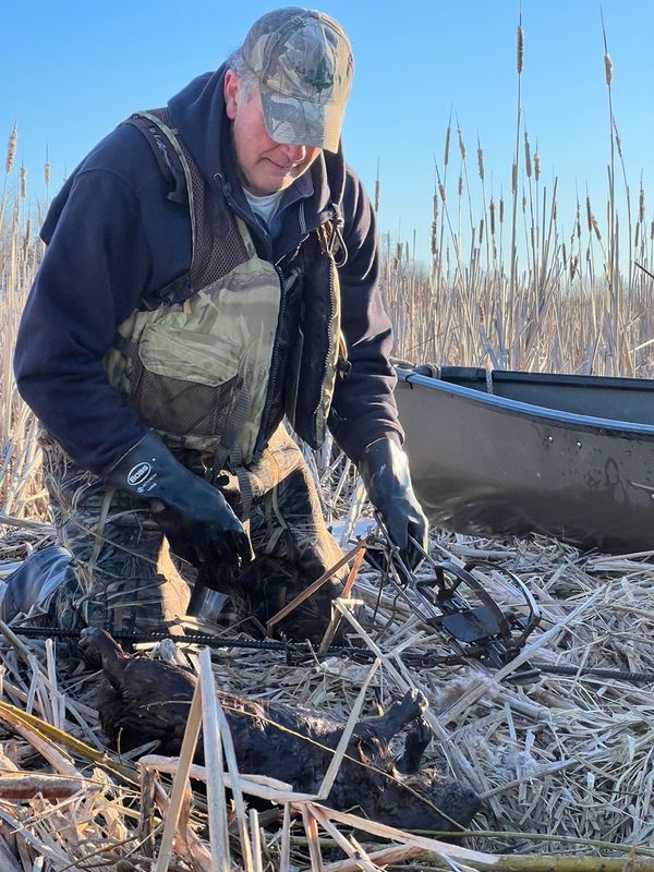 thousand Islands Life, Trapping Beavers, Photo Essay