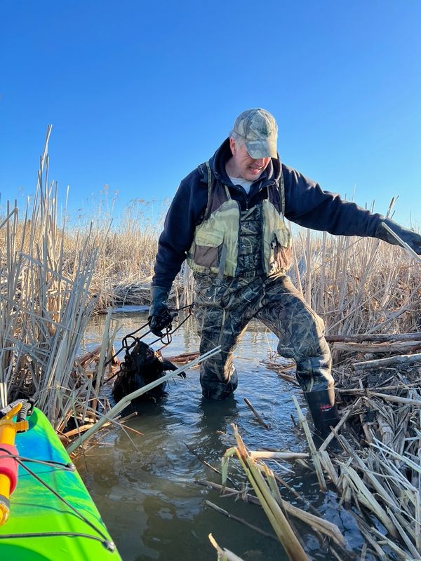 thousand Islands Life, Trapping Beavers, Photo Essay