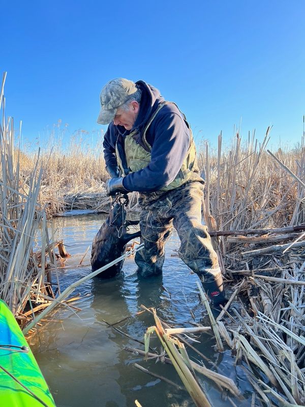 thousand Islands Life, Trapping Beavers, Photo Essay